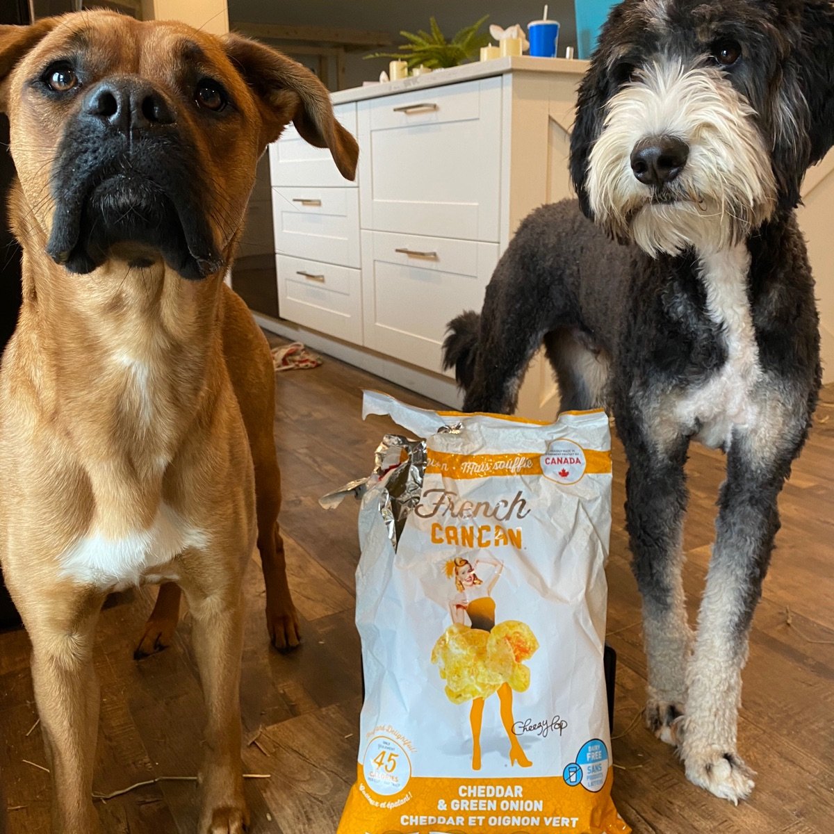Cheddar & Green Onion Popcorn from French Cancan - Vegan Product ...