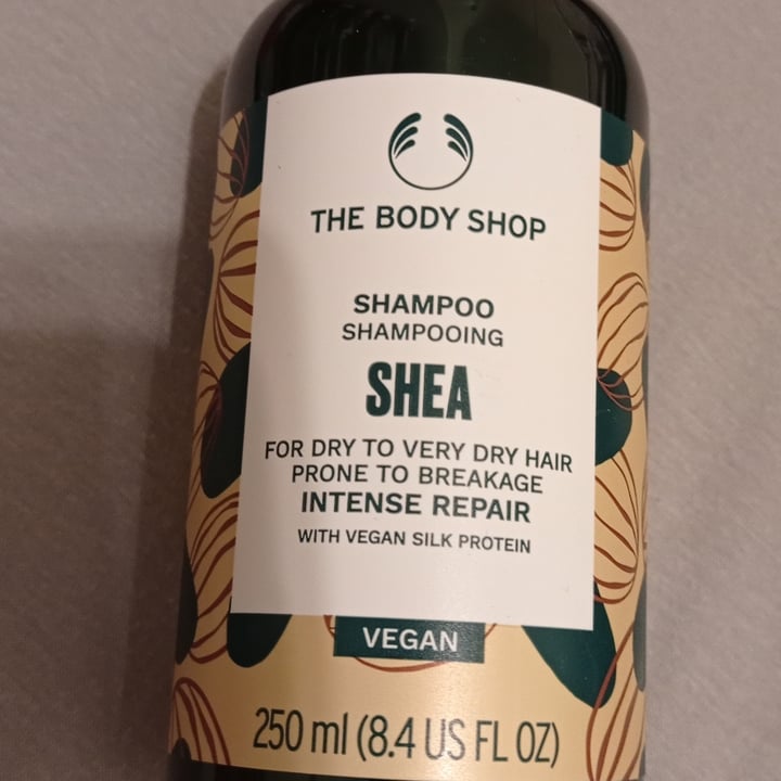 The Body Shop Shampoo Shea Review | abillion