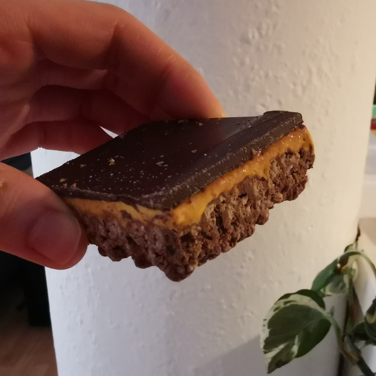 Vegan Indulgence Belgian Chocolate Orange Protein Bar from Applied ...