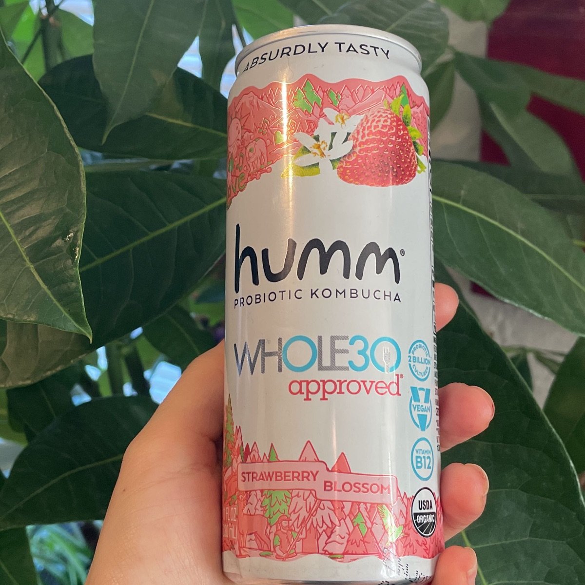 Strawberry Blossum from Humm Kombucha - Vegan Product Reviews & Ratings ...
