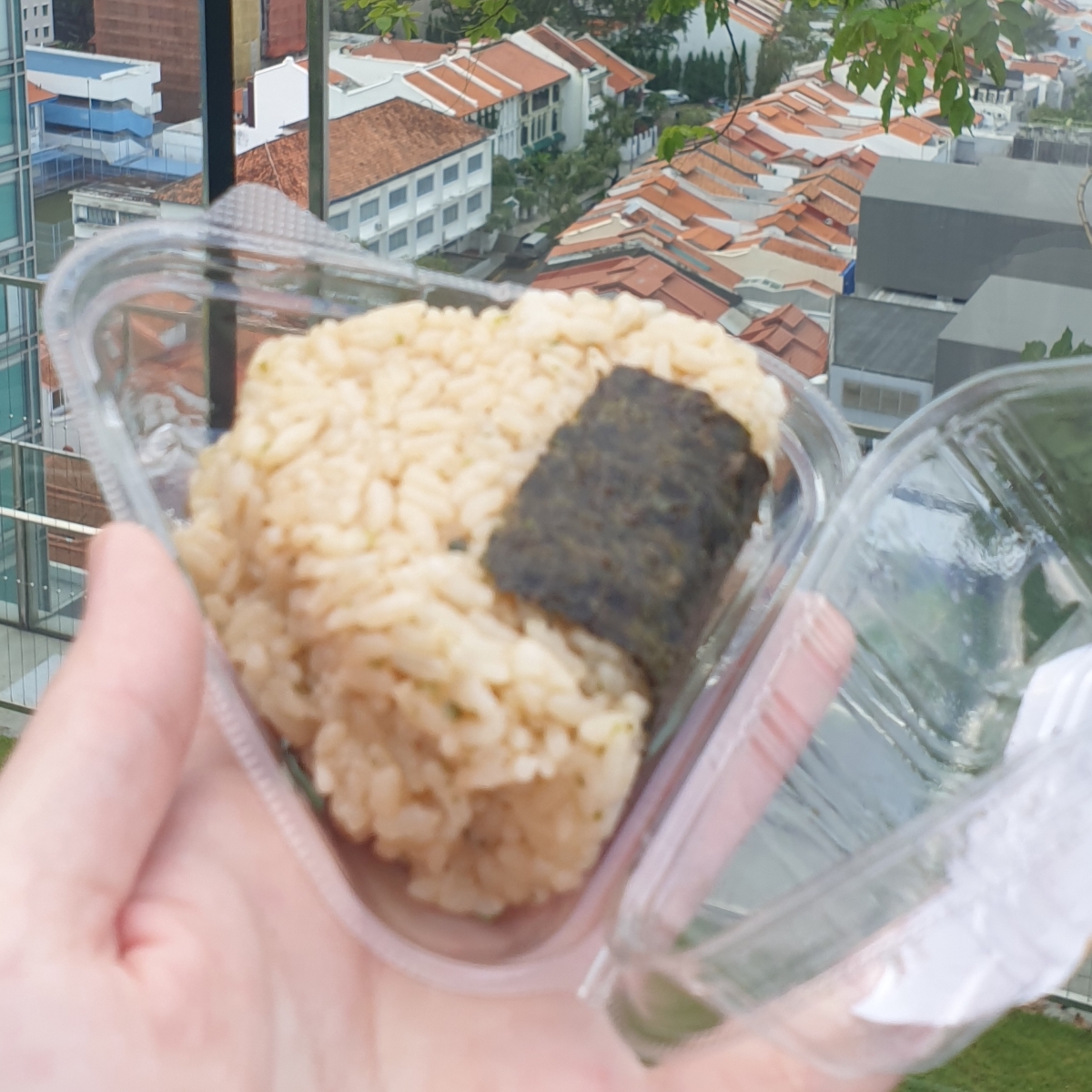 Devil Onigiri from DON DON DONKI - Vegan Product Reviews & Ratings ...