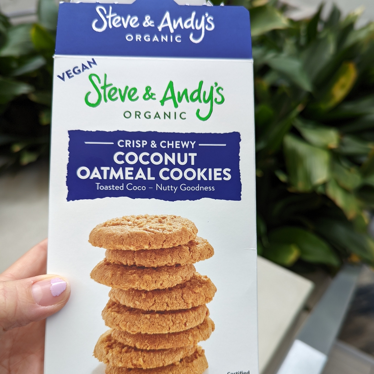 Coconut Oatmeal Cookies from Steve & Andy’s Organic - Vegan Product ...