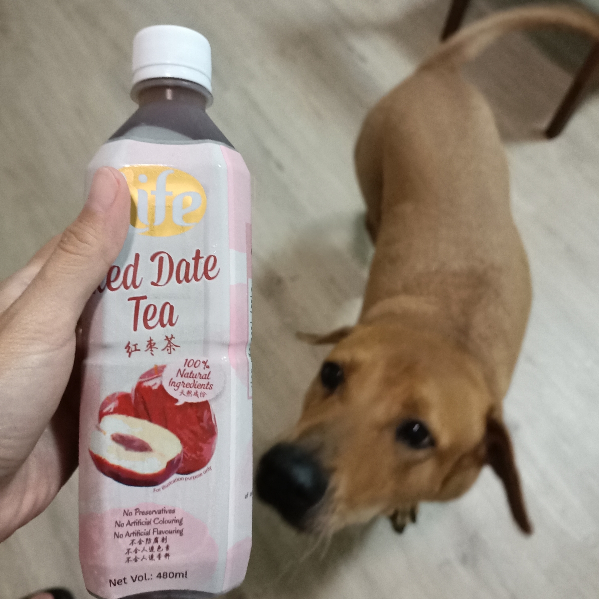 Red Date Tea from Life Bottle Drink - Vegan Product Reviews & Ratings ...