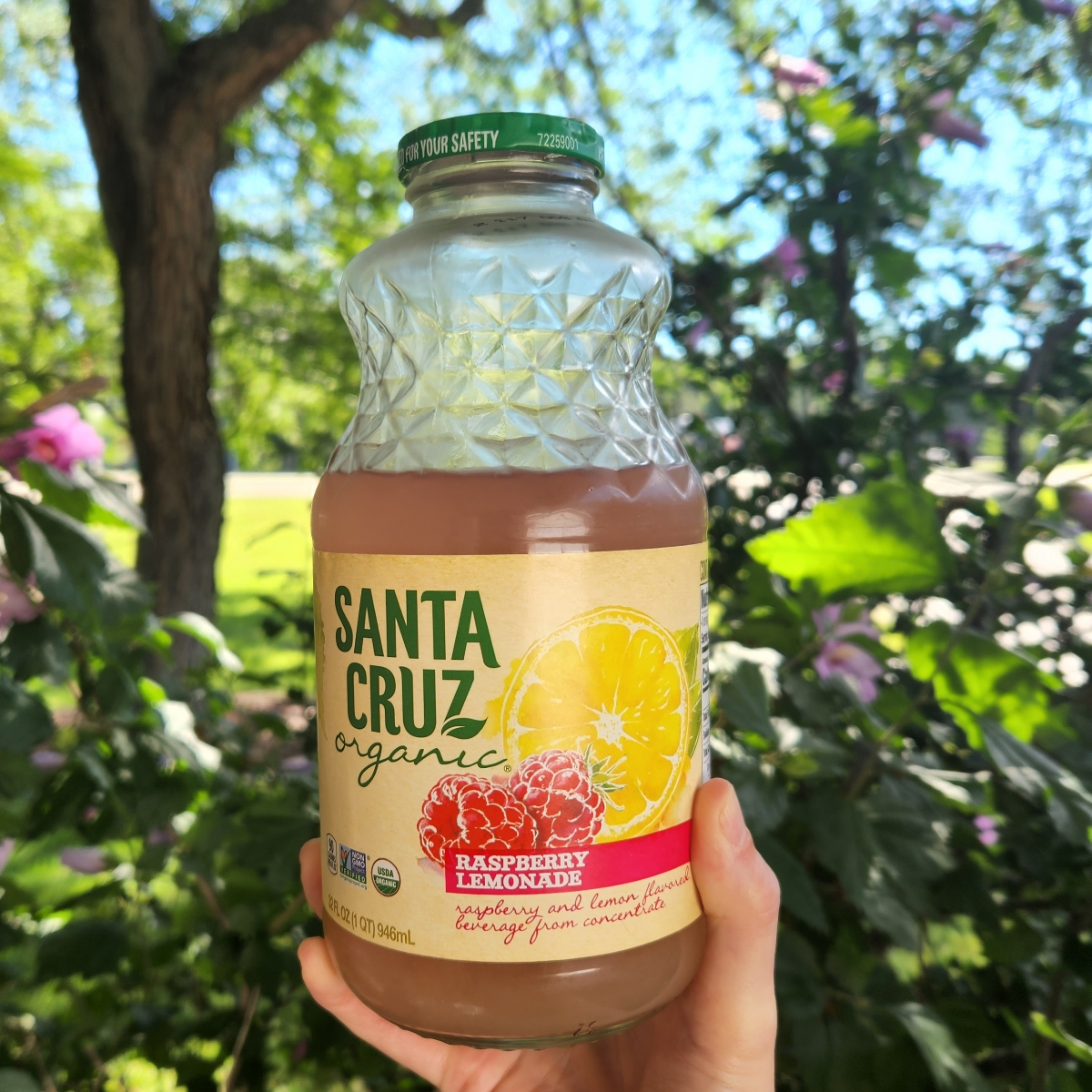 Raspberry Lemonade from Santa Cruz Organic - Vegan Product Reviews ...