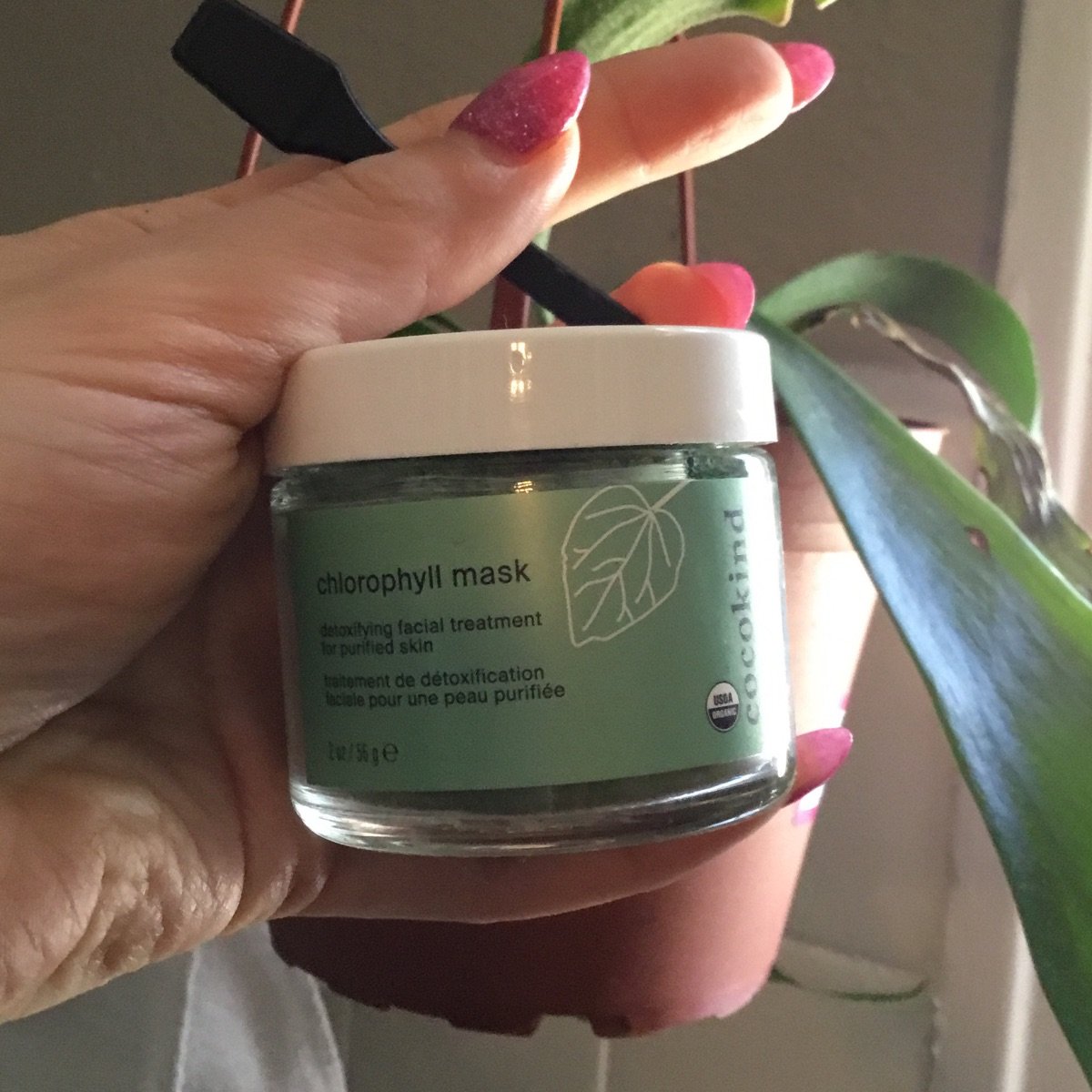 Organic Chlorophyll Mask from cocokind - Vegan Product Reviews ...