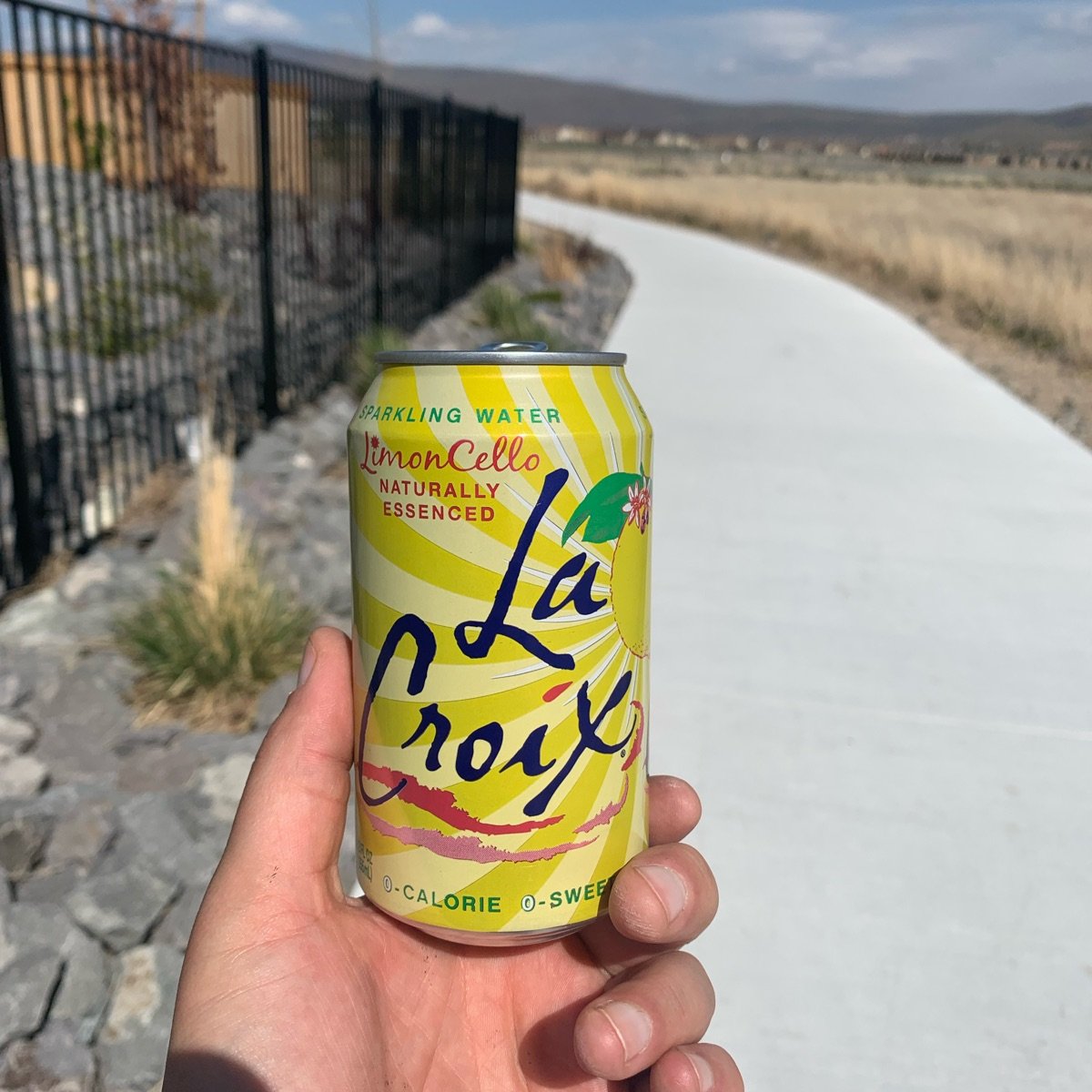 La Croix Lemon Sparkling Water Reviews | abillion