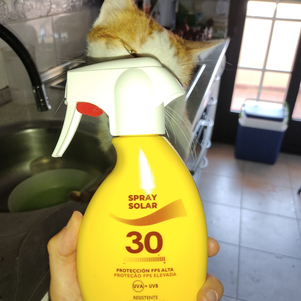 Spray solar 30 from Deliplus - Vegan Product Reviews & Ratings | abillion