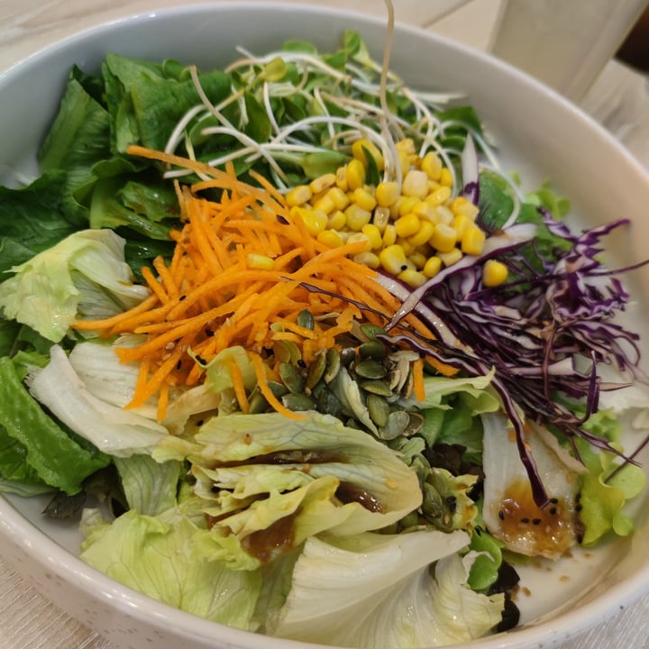 Salad Factory Central Rama2 Khet Bang Khun Thian, Thailand Salad DIY ...