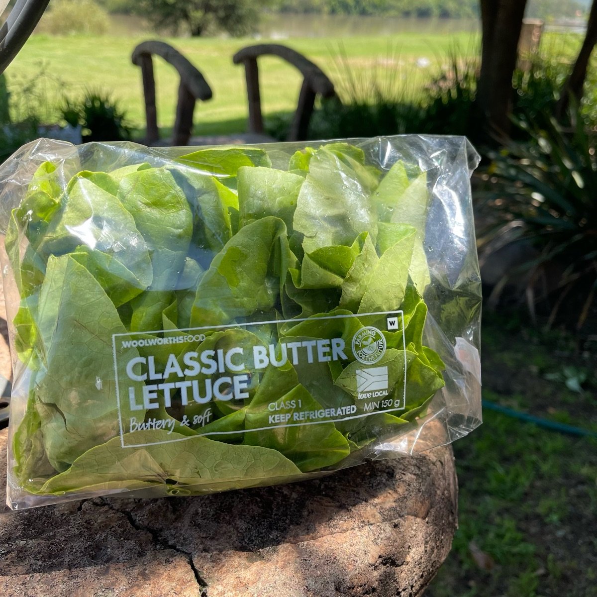Woolworths Food Classic Butter Lettuce Reviews | abillion