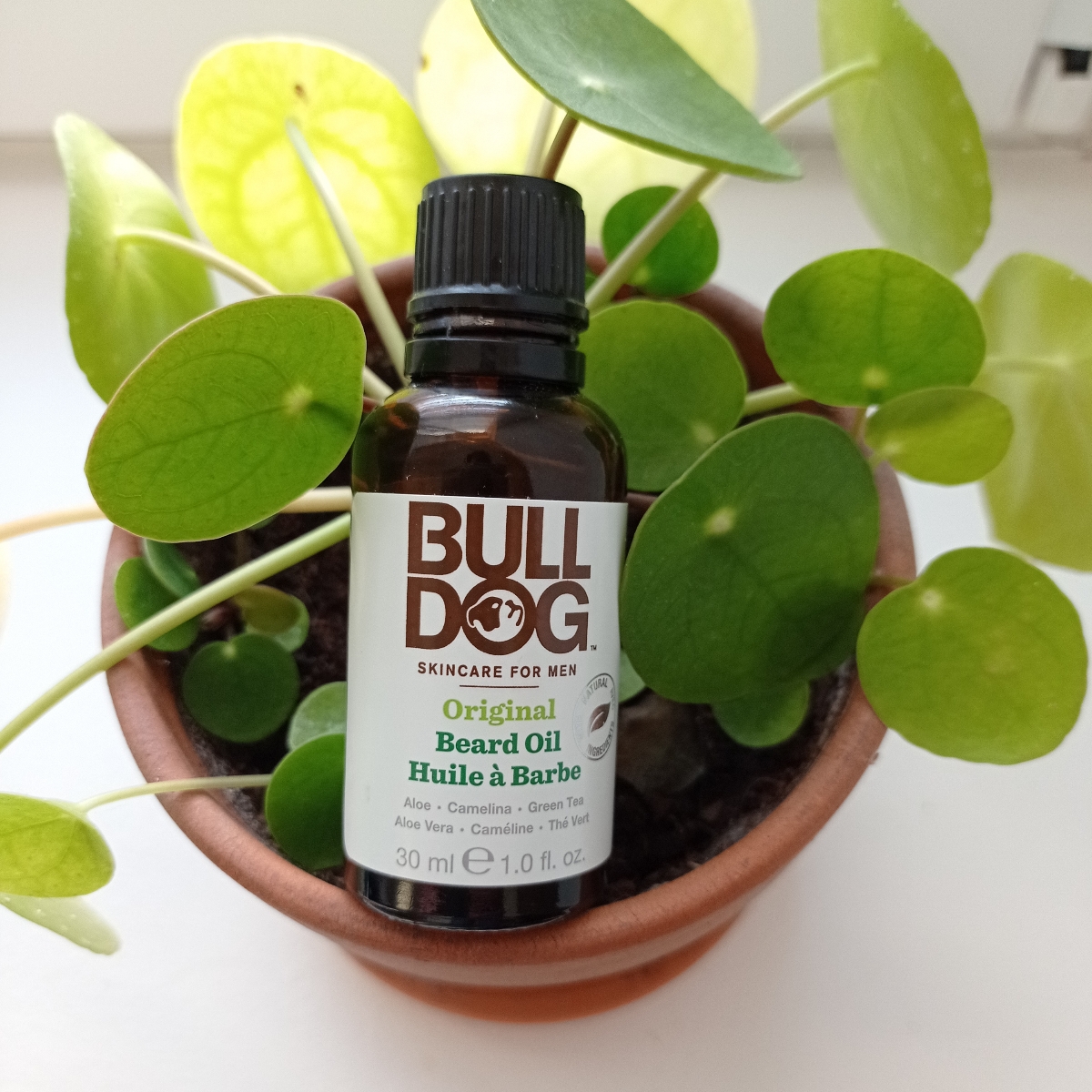 Bulldog Beard oil Reviews | abillion