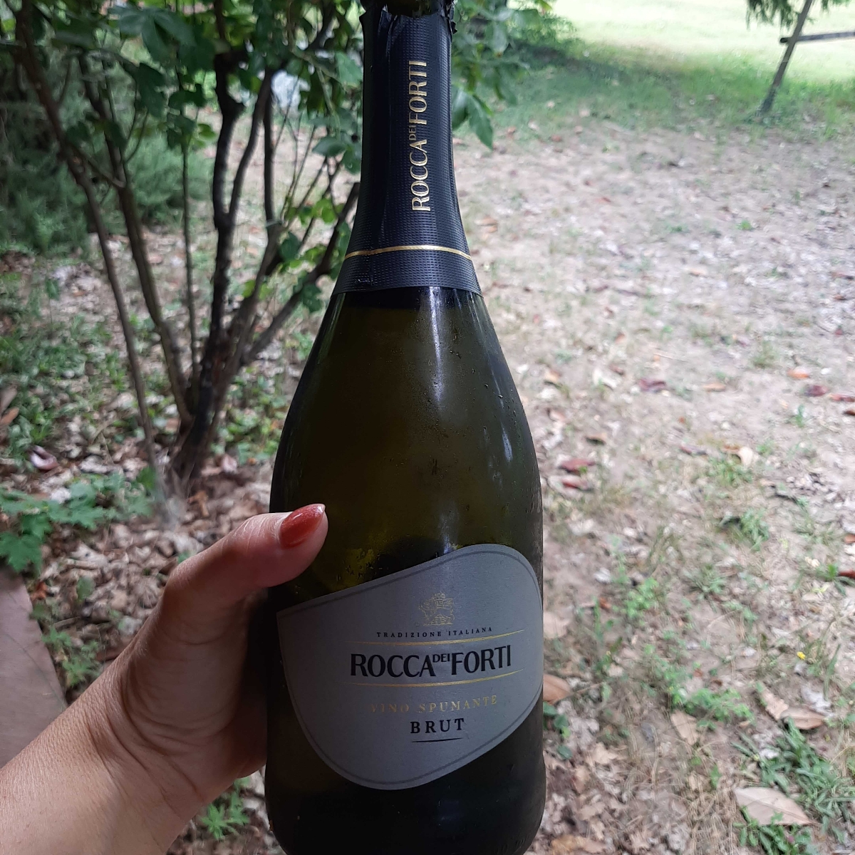 Vino spumante brut from Rocca dei forti - Vegan Product Reviews & Ratings | abillion
