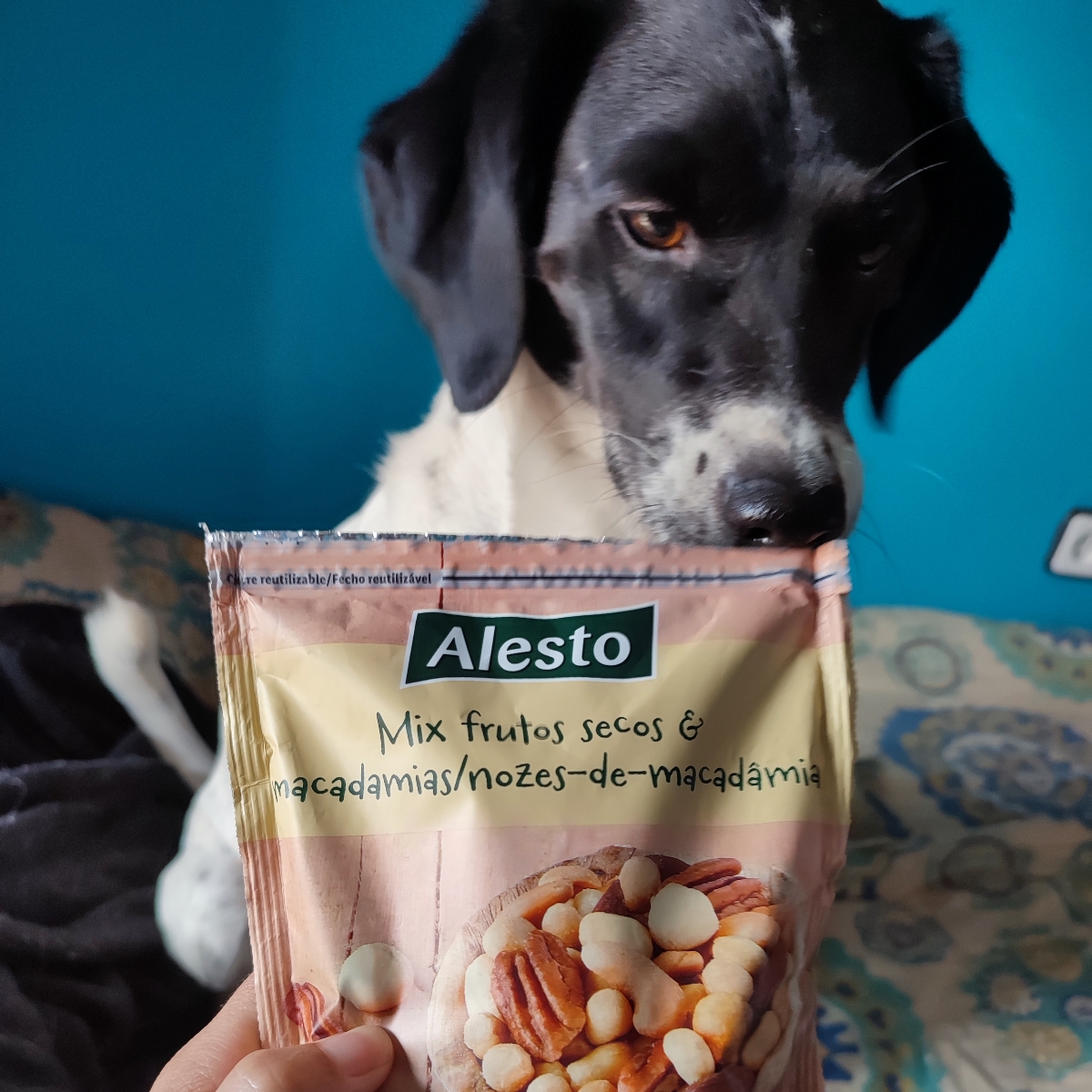Mix frutos secos & macadamias tostados y salados from Alesto - Vegan Product Reviews & Ratings ...