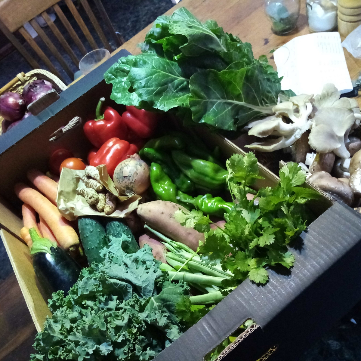 Ecocesta Verdura from Valle y Vega SCA - Vegan Product Reviews ...