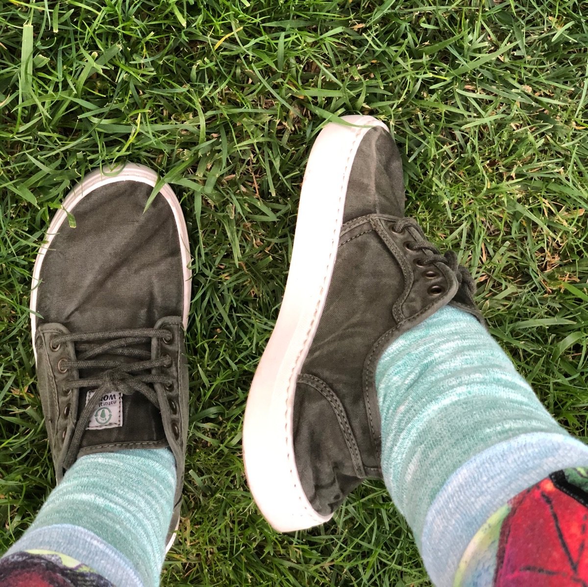 Turtle Socks from Critically Endangered Socks - Vegan Product Reviews ...