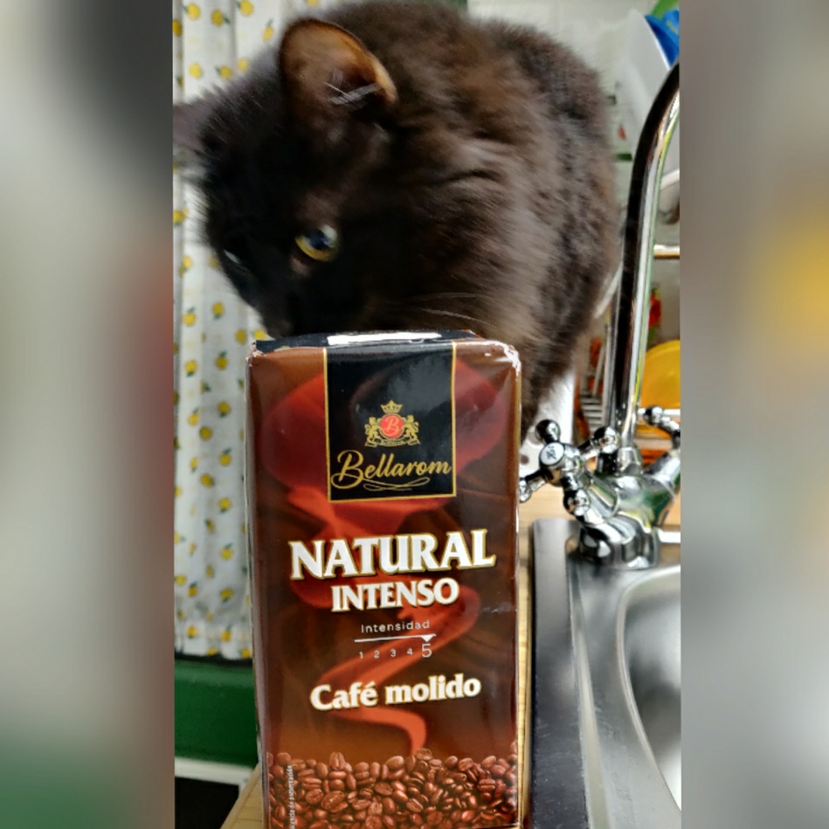 Café molido natural intenso from Bellarom - Vegan Product Reviews ...