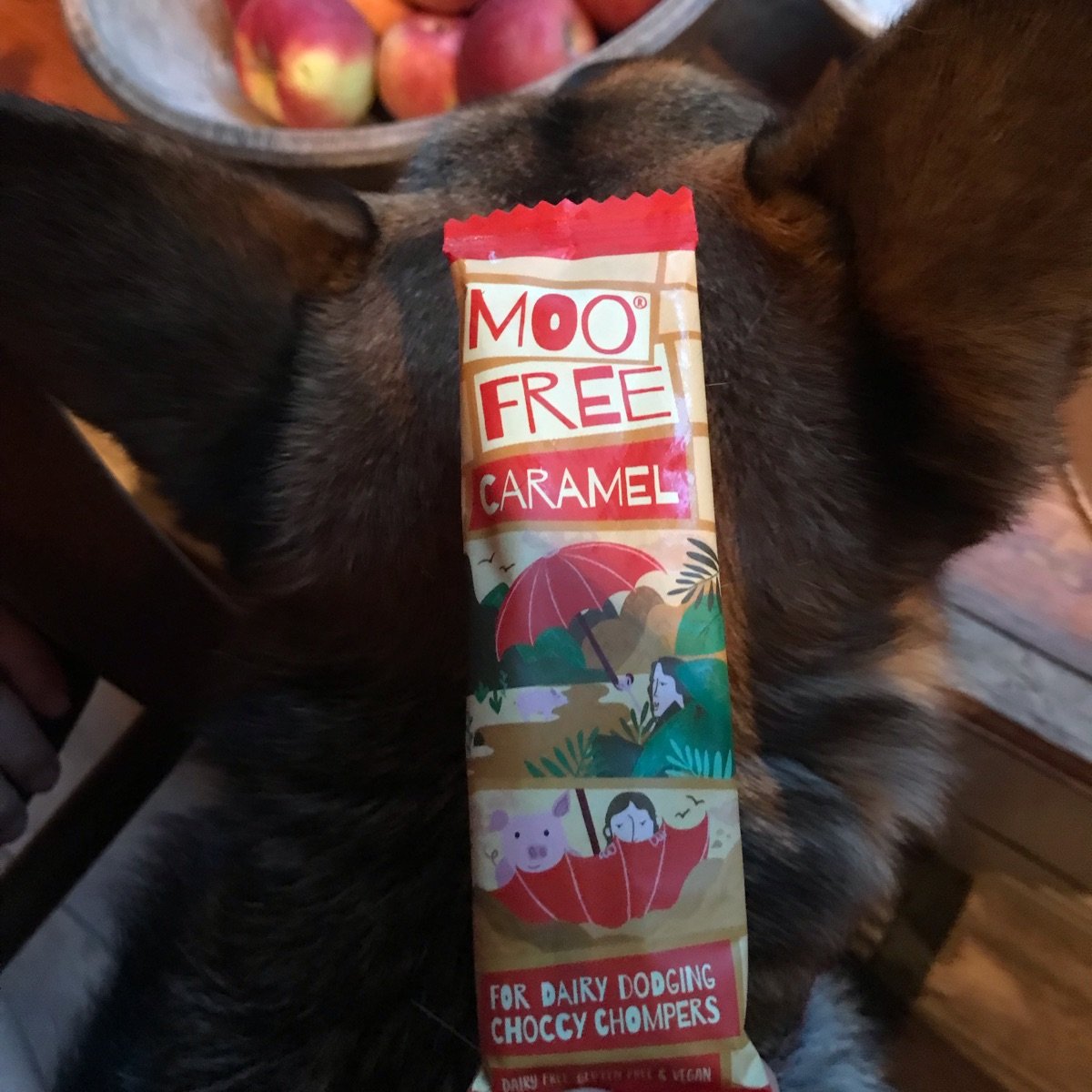 Caramel bar from Moo Free - Vegan Product Reviews & Ratings | abillion