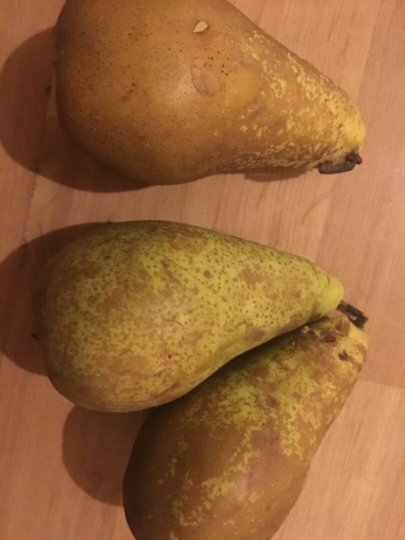 Conference Pears Reviews | abillion