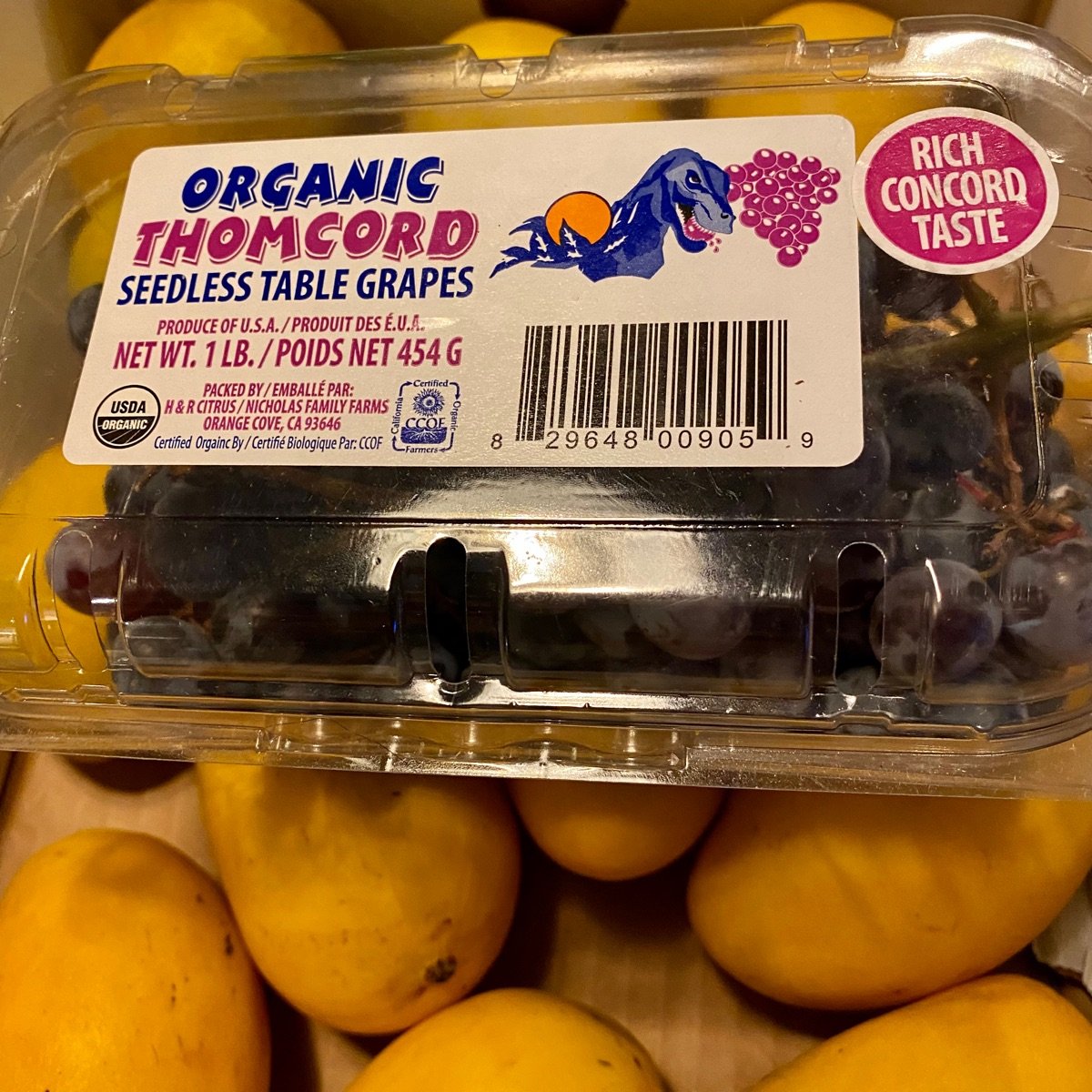 Organic Thomcord Seedless Table Grapes from Organic Thomcord - Vegan ...