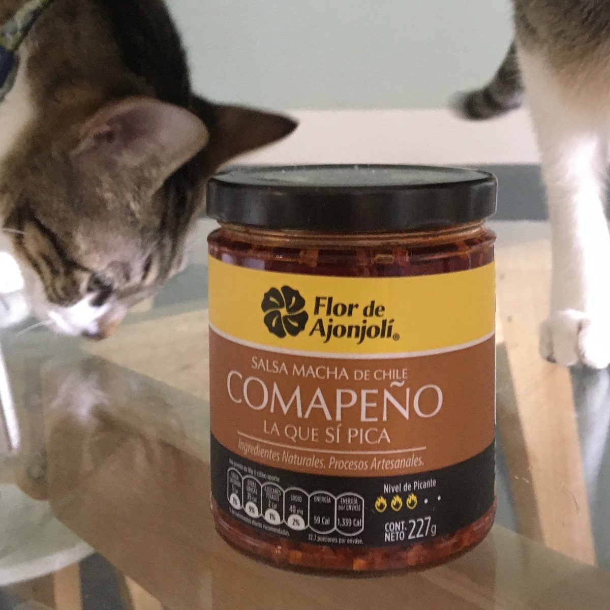 Salsa Macha De Chile Comapeño from Flor de Ajonjolí - Vegan Product ...