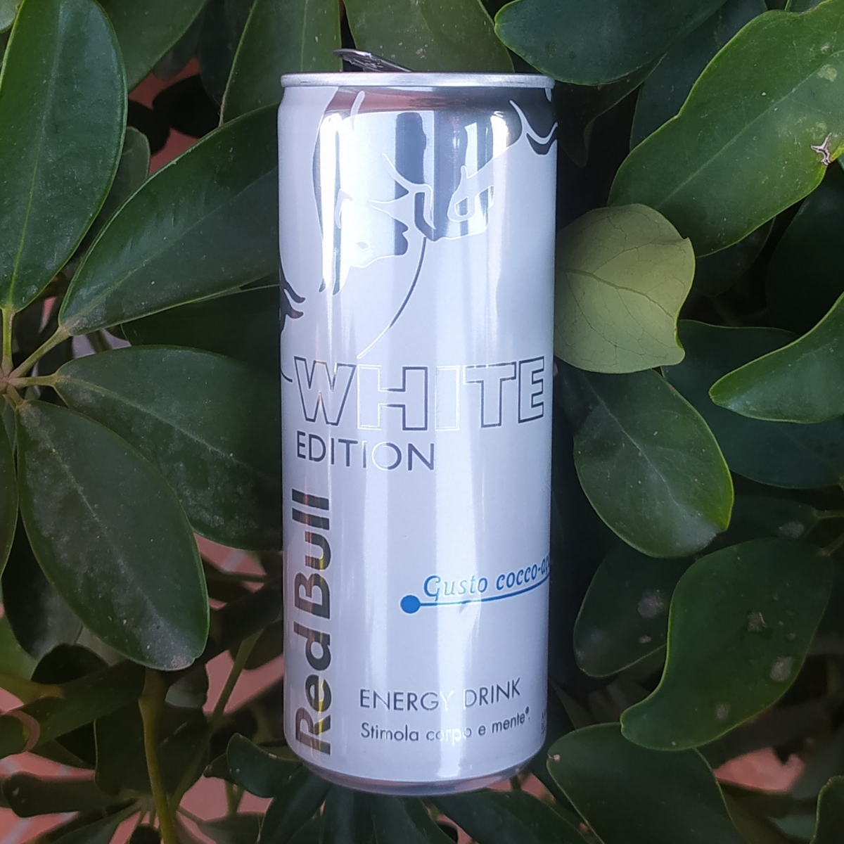 Red Bull Red Bull White Edition Reviews | abillion