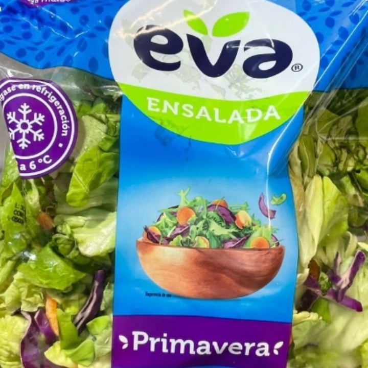 Eva Ensalada Primavera Review | abillion