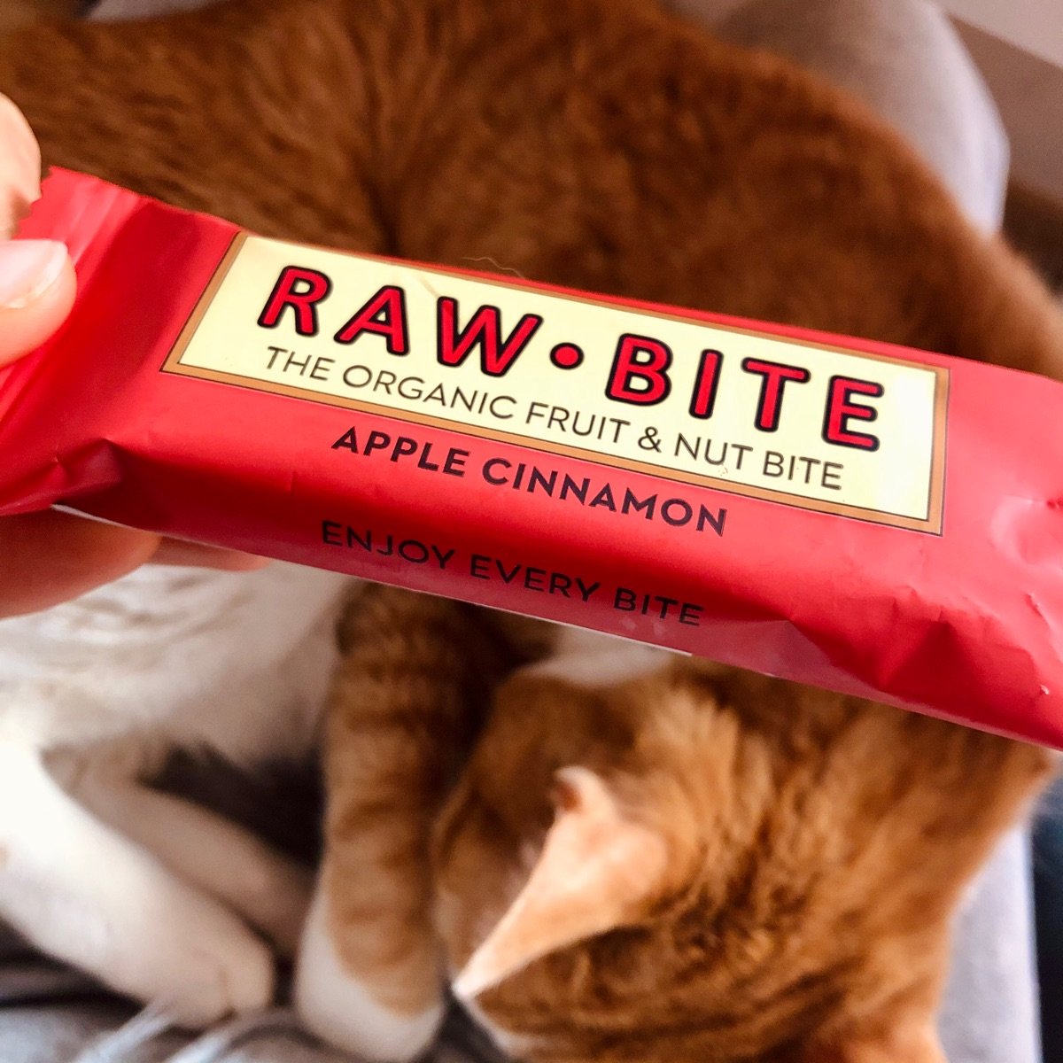 Raw Bite Apple Cinnamon from Raw Bite - Vegan Product Reviews & Ratings ...