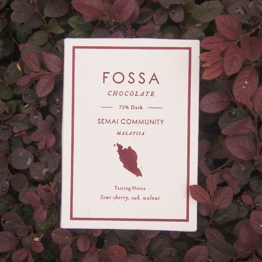 Malaysia - Semai Community 72% Dark Chocolate from Fossa Chocolate ...