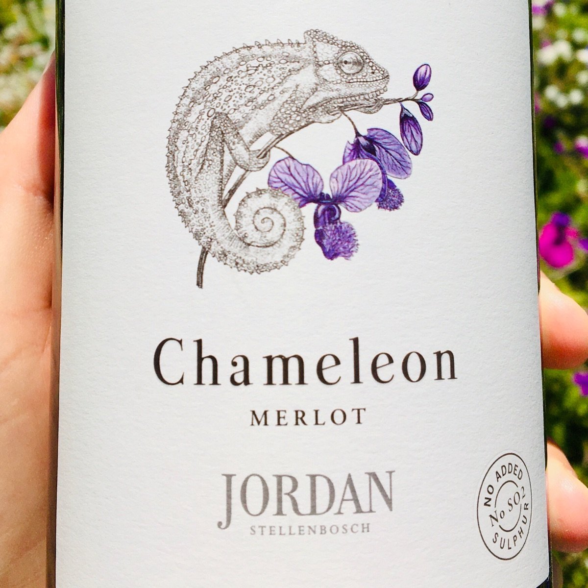 Jordan Wine - Chameleon Merlot Review | abillion