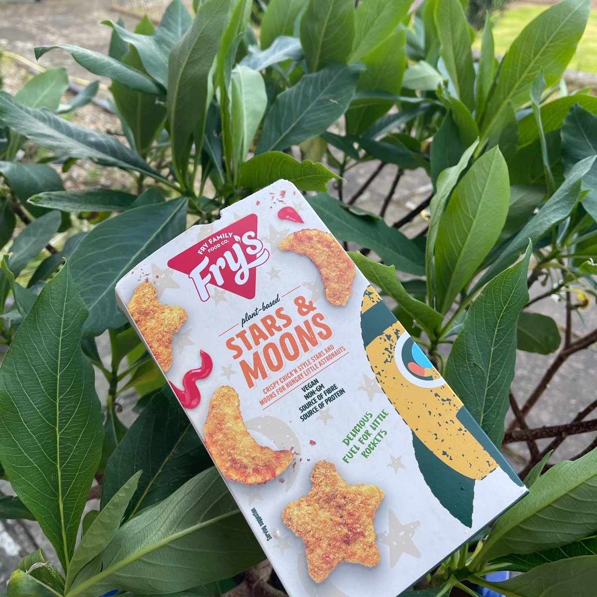 Stars & Moons from Fry's Family Food - Vegan Product Reviews & Ratings ...