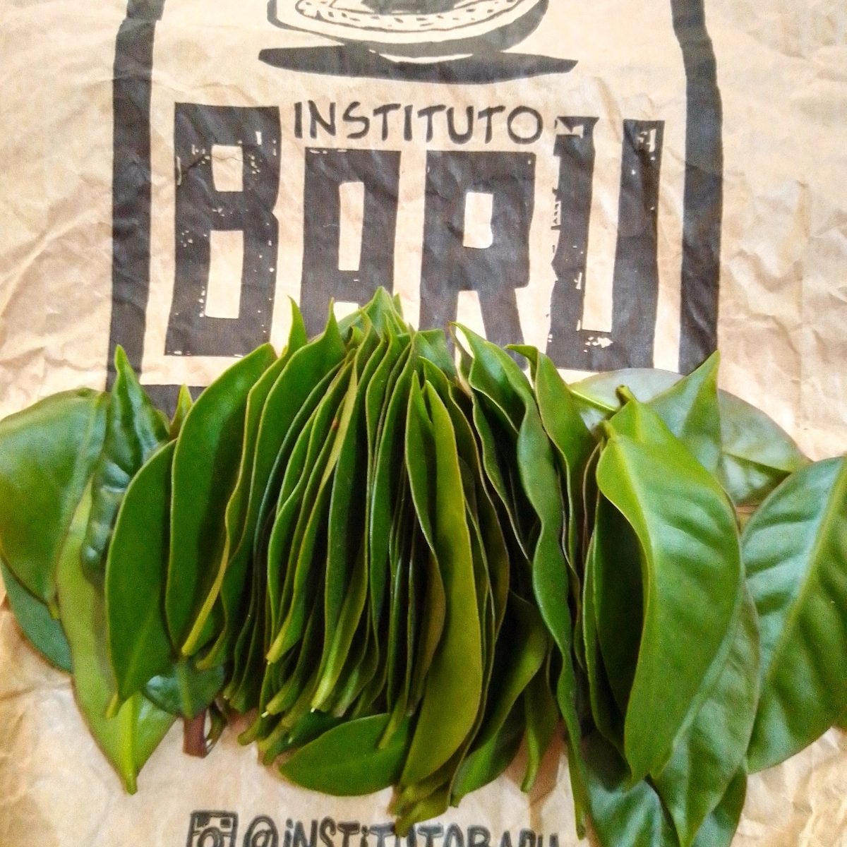 Ora-pro-nobis from Instituto Baru - Vegan Product Reviews & Ratings ...