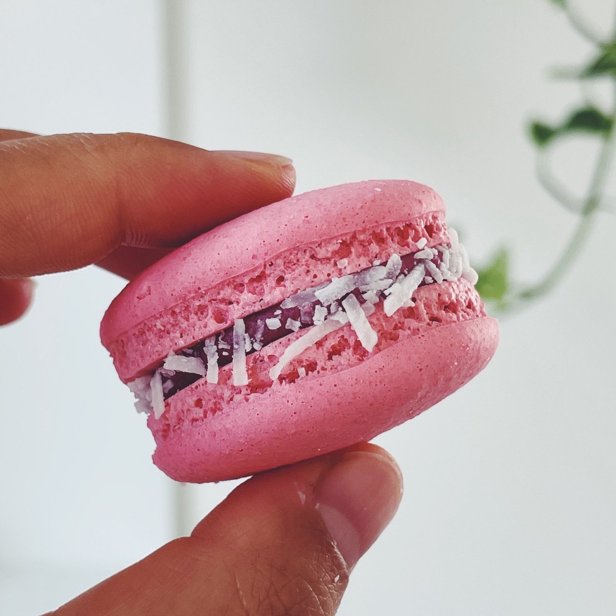 Iced Vovo Macaron from Le Gourmand (Macaron and Me) - Vegan Product ...