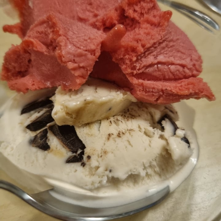 Ben & Jerry's Save Our Swirled Now! Non-Dairy Ice Cream Review | abillion