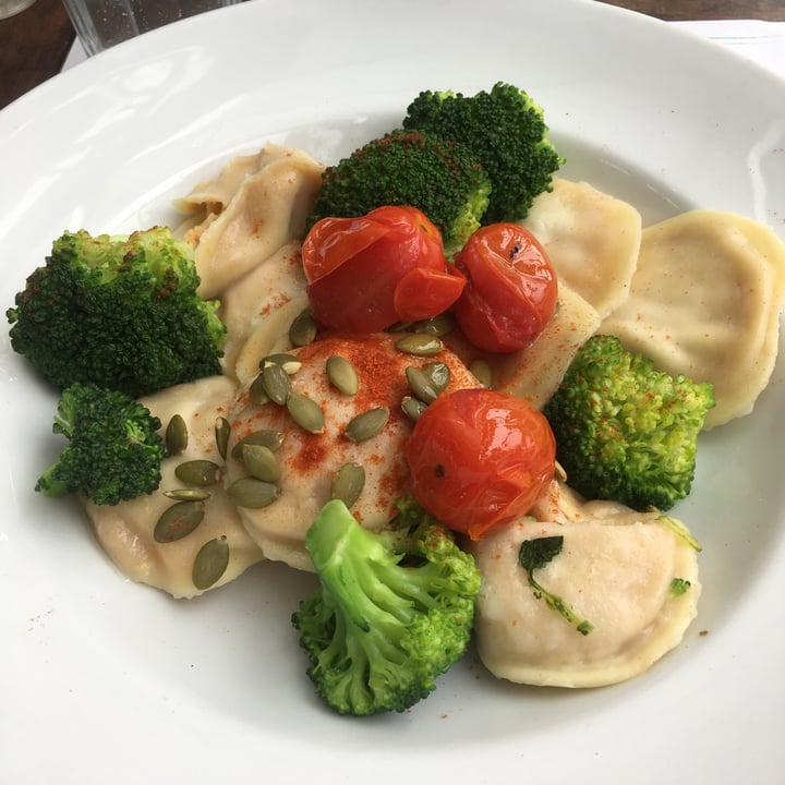 Dandy Saavedra Saavedra, Argentina Sorrentinos Vegan Review | abillion