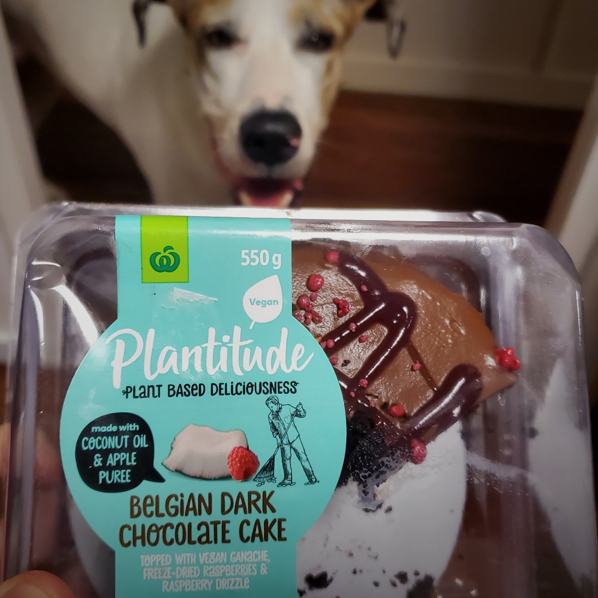 Belgian Dark Chocolate Cake 550g from Plantitude - Vegan Product ...