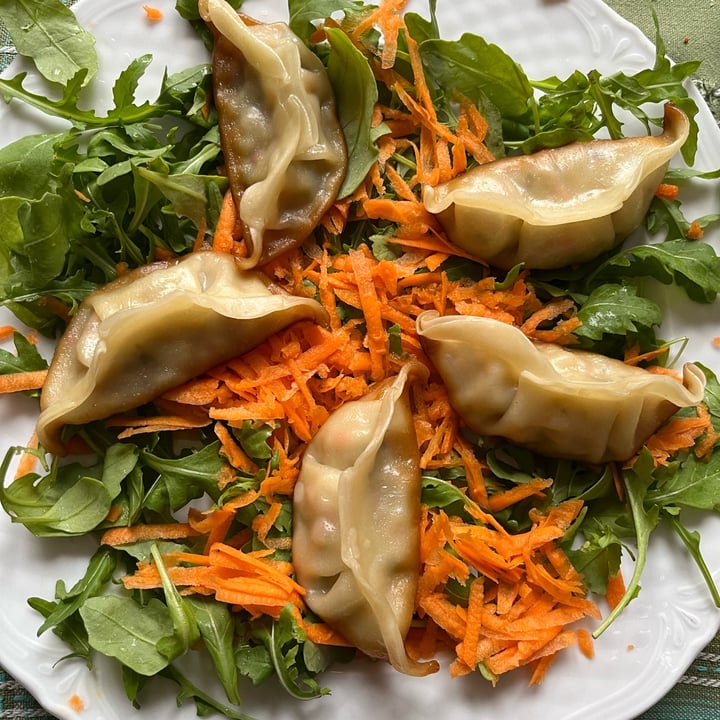 ALDI 10 Vegetable Gyoza Review | abillion