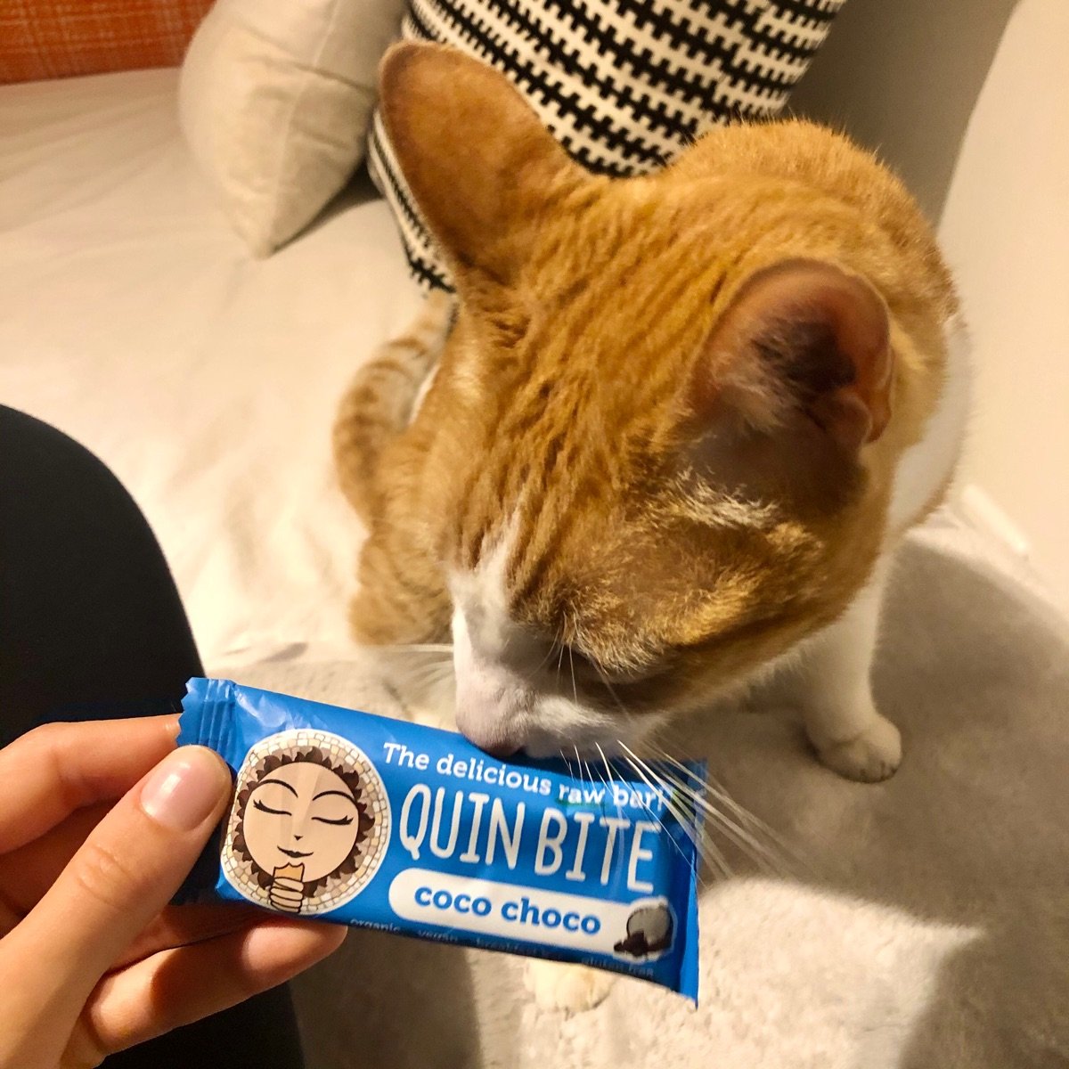 Coco Choco from Quin Bite - Vegan Product Reviews & Ratings | abillion