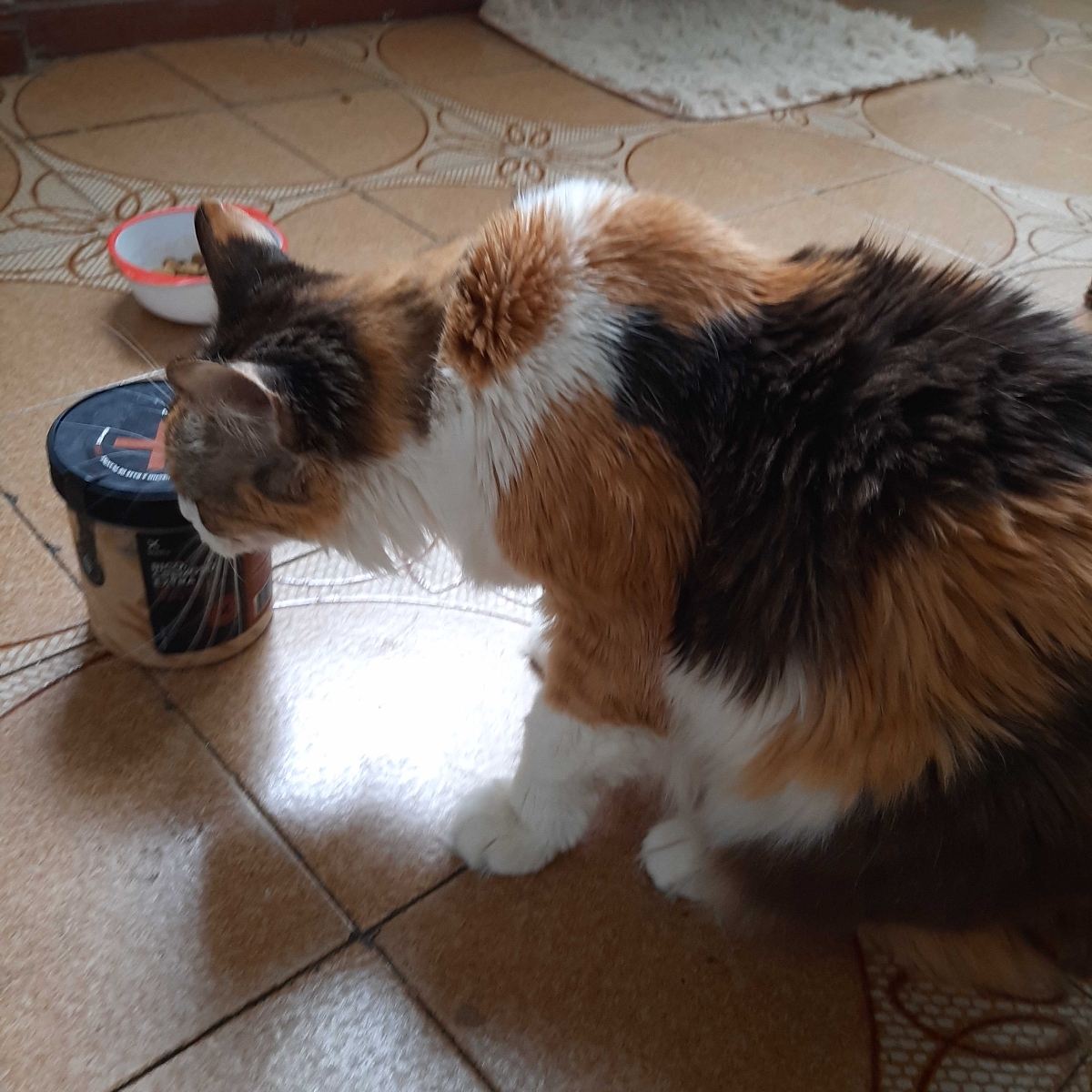 Not Icecream Dulce de Leche Tentación from NotCo - Vegan Product ...