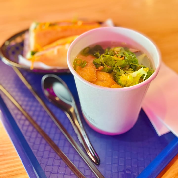 Pho Mo Te Aro, Wellington, New Zealand Vege Pho Review | abillion