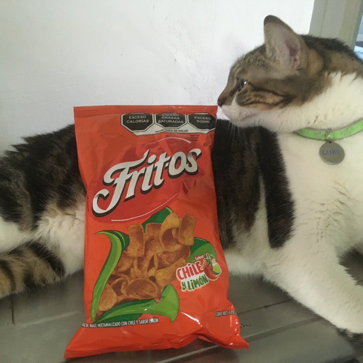 Fritos Chile y Limón from Sabritas - Vegan Product Reviews & Ratings ...