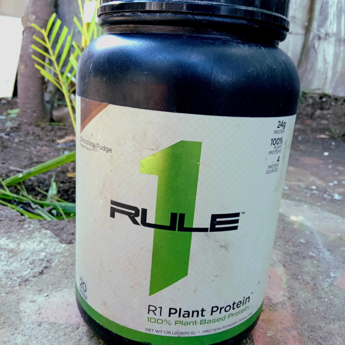 R1 Plant Protein from Rule 1 Proteins - Vegan Product Reviews & Ratings ...
