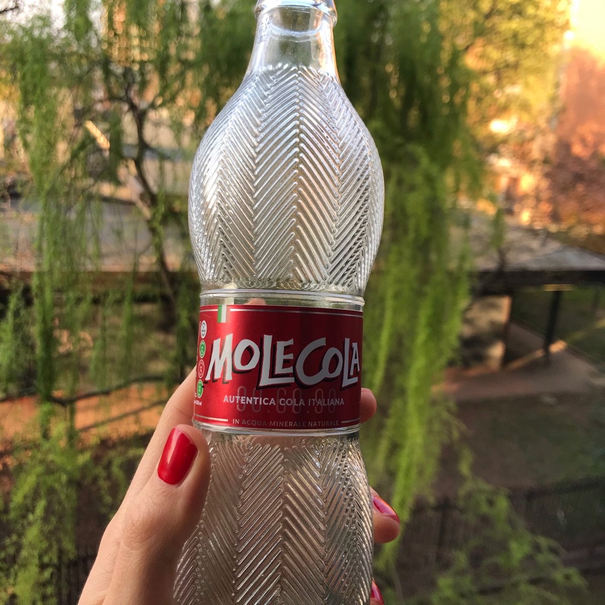 Mole Cola from Molecola - Vegan Product Reviews & Ratings | abillion