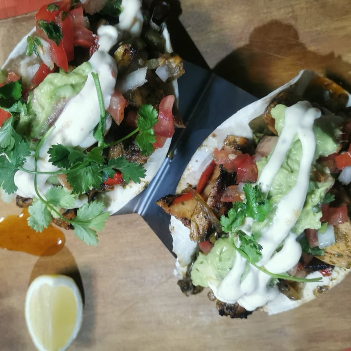 The Fat Cactus Mowbray Cape Town, South Africa Vegan Chicken Tacos ...