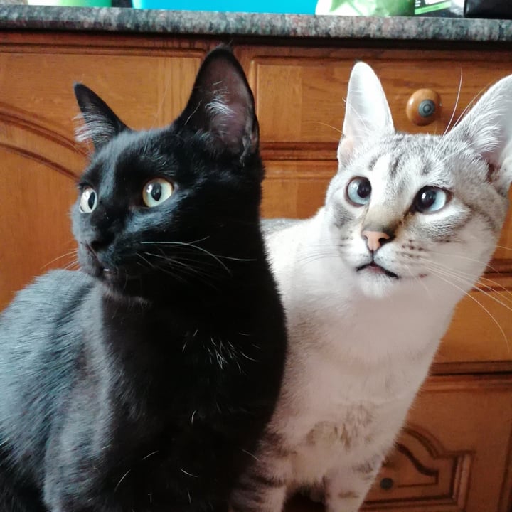 sooru (@sooru) | abillion