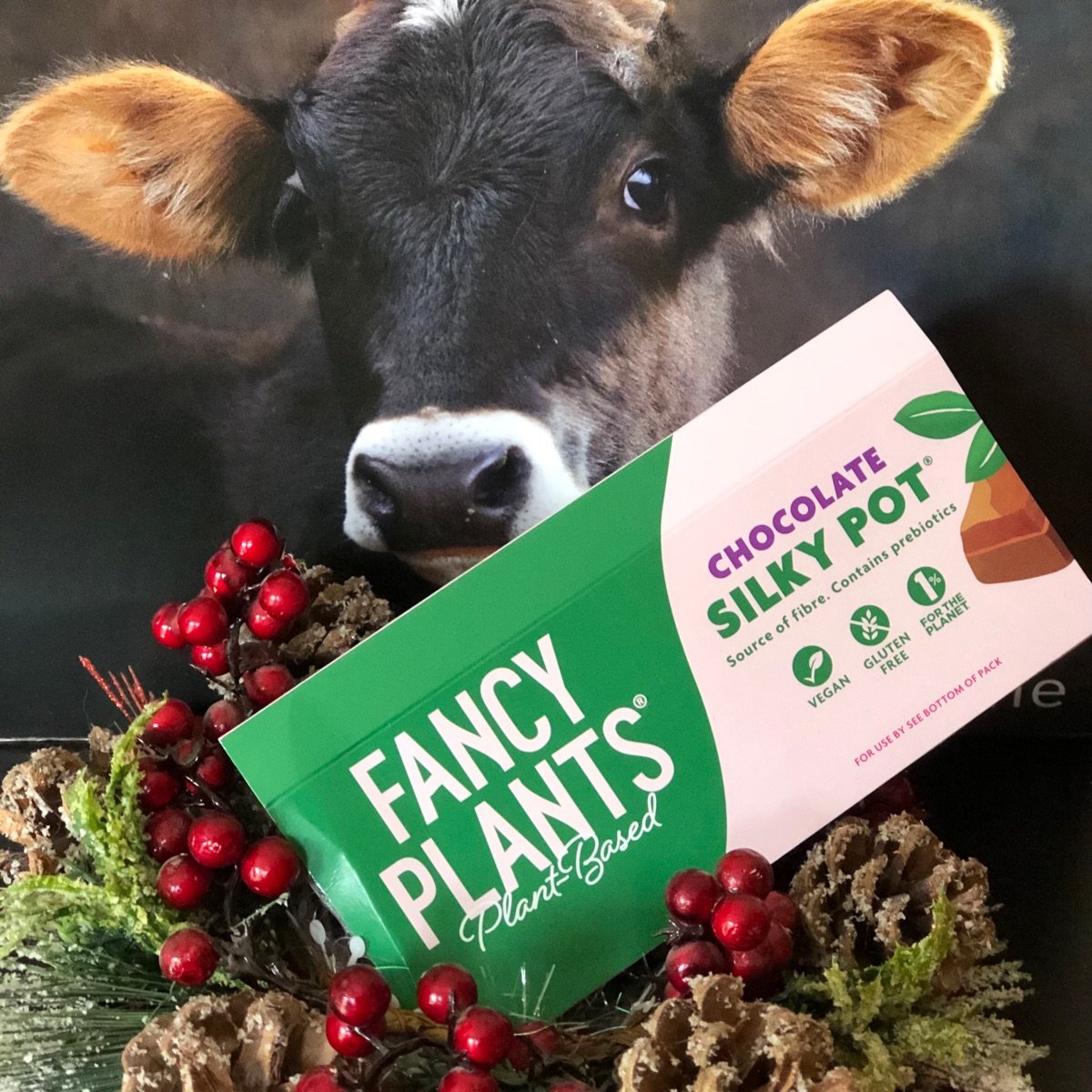 Chocolate Silky Pot from Fancy Plants - Vegan Product Reviews & Ratings ...