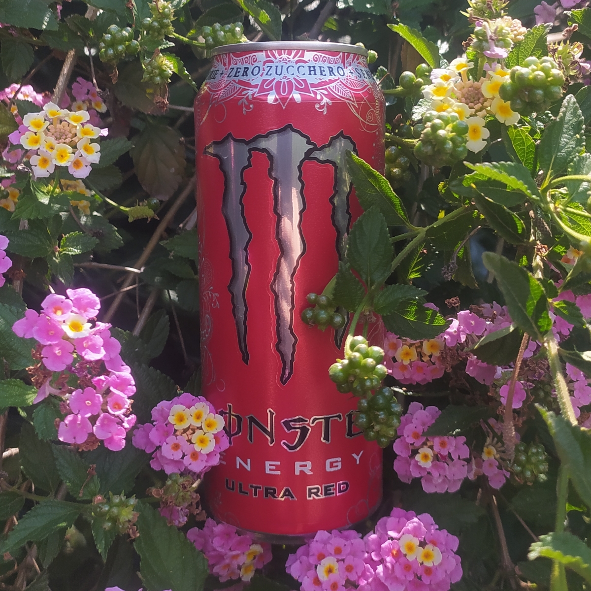 Monster Energy Ultra Red from Monster Energy - Vegan Product Reviews ...