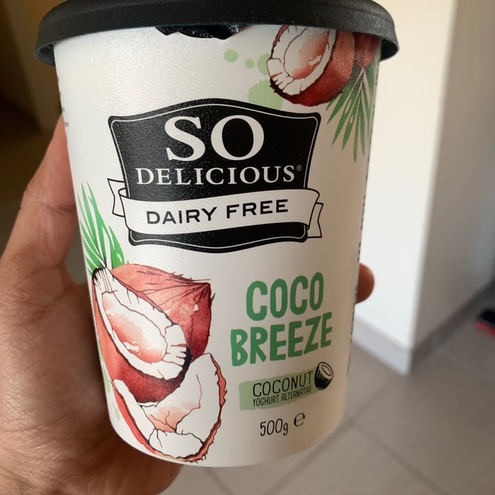 So Delicious Dairy Free Coco Breeze Review | abillion