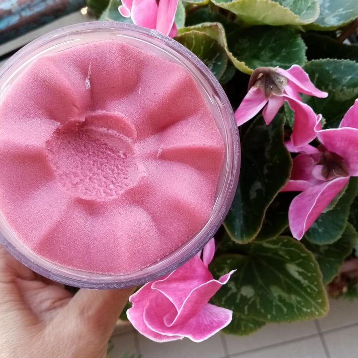 Dolciando Reviews | abillion