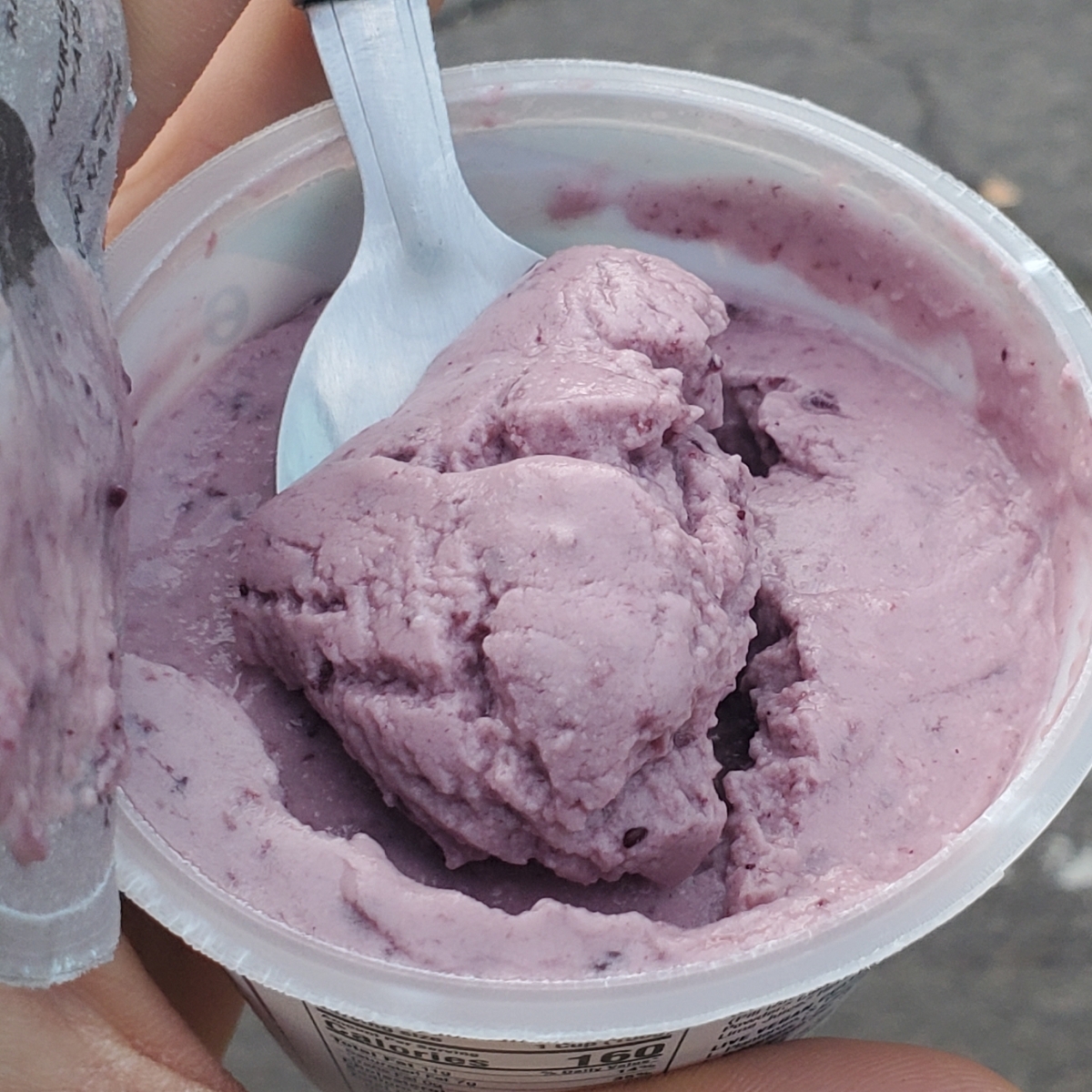 Blueberry Pili Nut Yogurt from Lavva - Vegan Product Reviews & Ratings ...