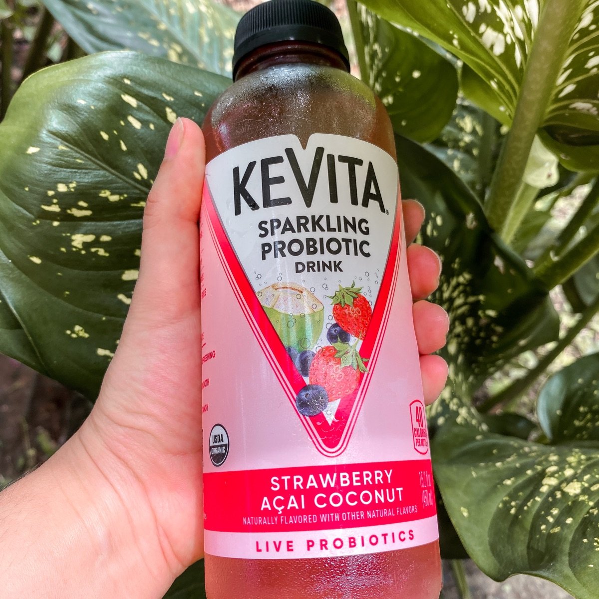 Strawberry Acai Coconut from KeVita - Vegan Product Reviews & Ratings ...