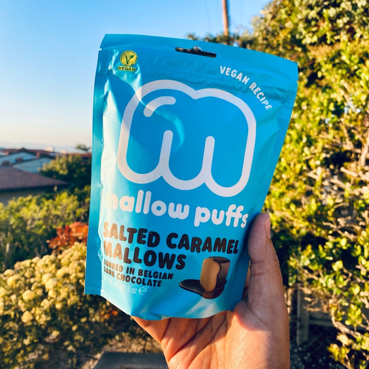 Mallow puffs Salted Caramel Mallows in Dark Chocolate Reviews | abillion